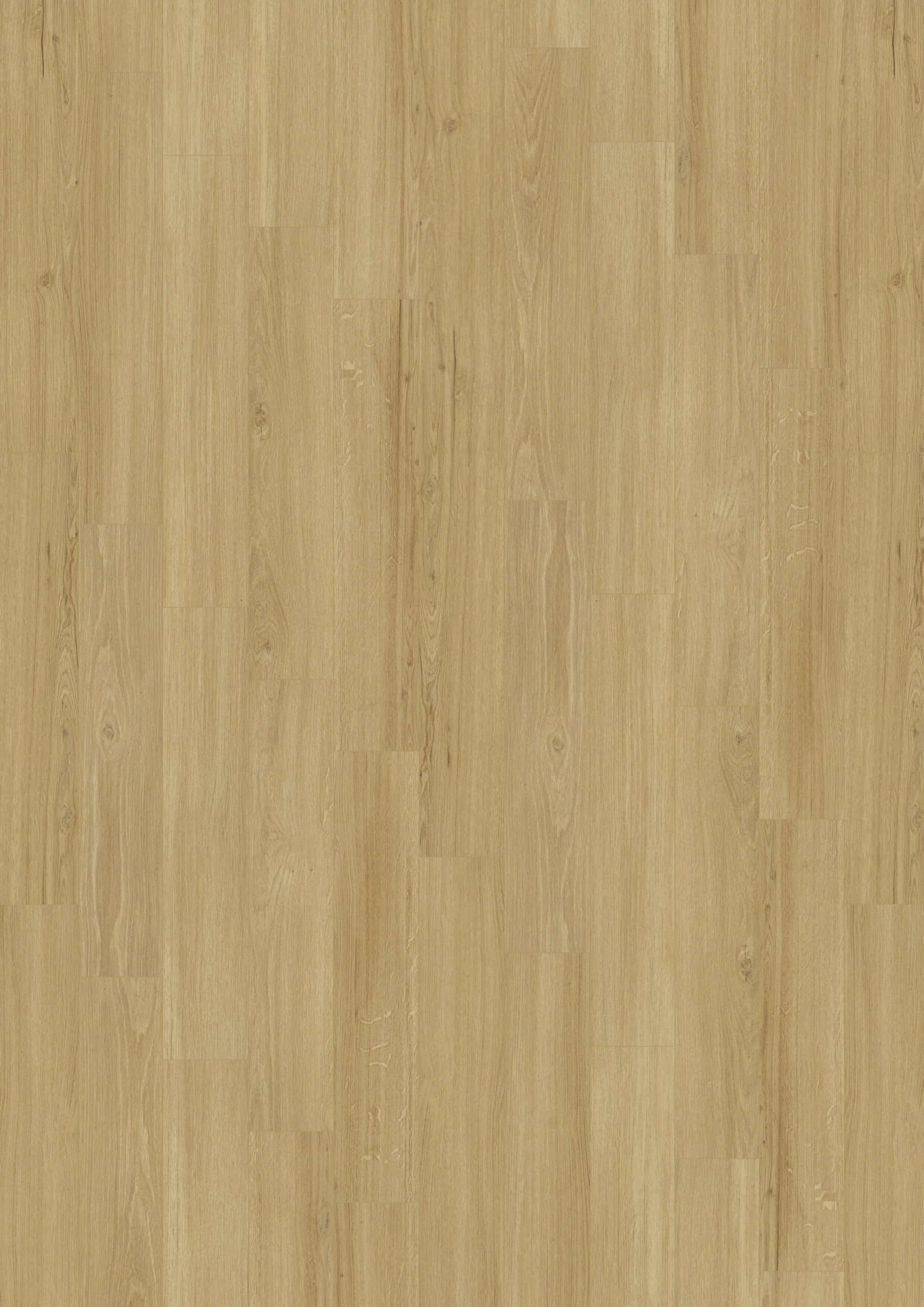 JOKA Deluxe 555 Cycle 5380 Incredible Light Oak Fischgrat - JOKA City ...